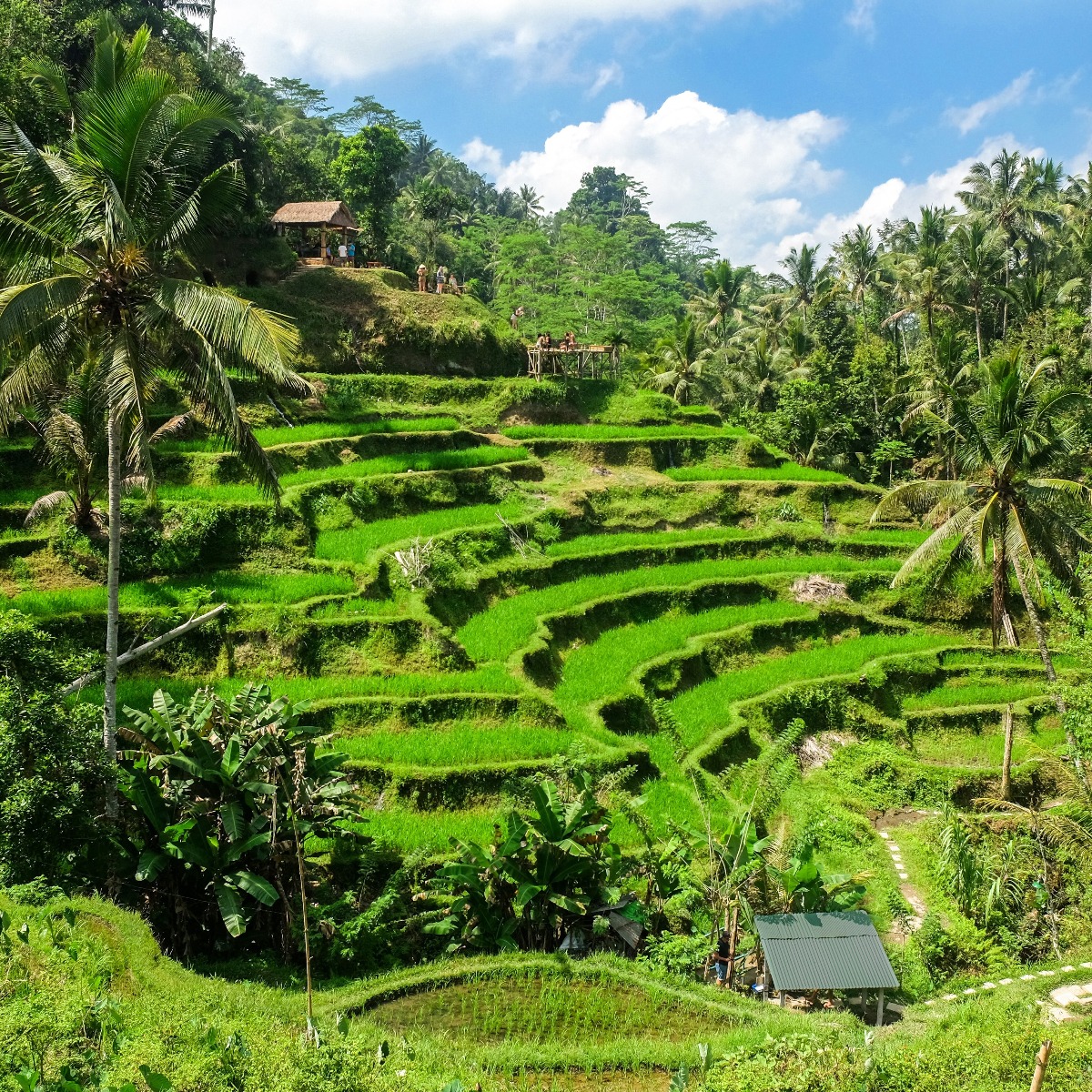 ubud
